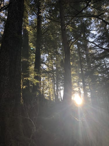 Best Hikes and Trails in Ward Lake Recreation Area | AllTrails