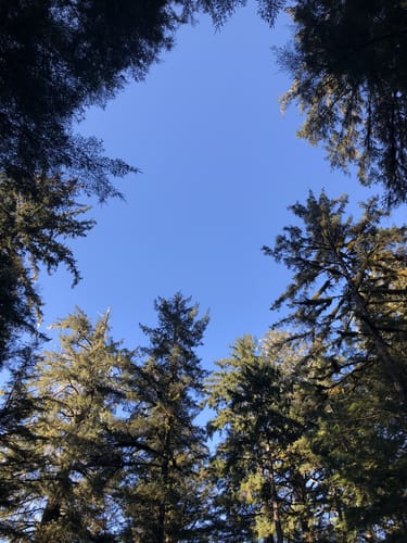 Best Hikes and Trails in Ward Lake Recreation Area | AllTrails