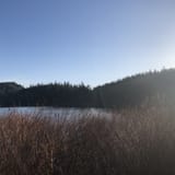 Ward Lake Trail, Alaska - 137 Reviews, Map | AllTrails