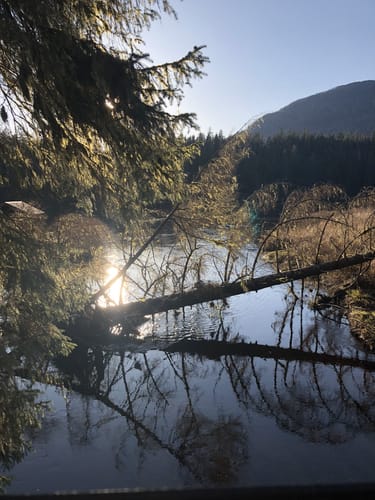 Best Hikes and Trails in Ward Lake Recreation Area | AllTrails