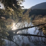 Ward Lake Trail, Alaska - 137 Reviews, Map | AllTrails