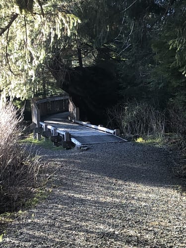 Best Hikes and Trails in Ward Lake Recreation Area | AllTrails