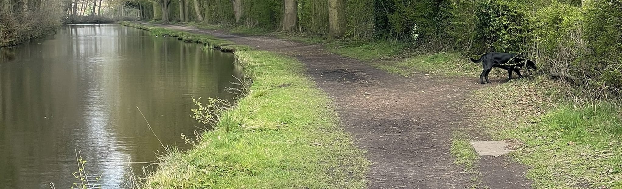 Fradley Junction and Alrewas: 183 Reviews, Map - Staffordshire, England ...