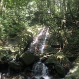 Langganan Waterfall, Sabah, Malaysia - 26 Reviews, Map | AllTrails