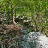 Pinhoti Trail, Alabama - 68 Reviews, Map | AllTrails