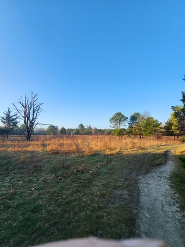 Best Hikes and Trails in Calverton Ponds Preserve | AllTrails