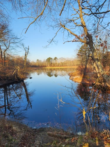 Best Hikes and Trails in Calverton Ponds Preserve | AllTrails