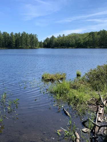 Best Hikes and Trails in Freedom | AllTrails