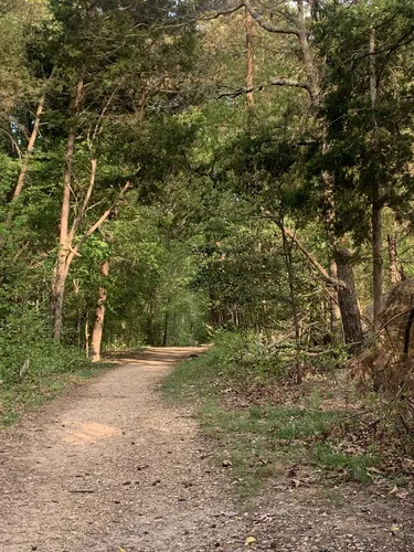 Best Hikes and Trails in Laurel Springs Regional Park | AllTrails