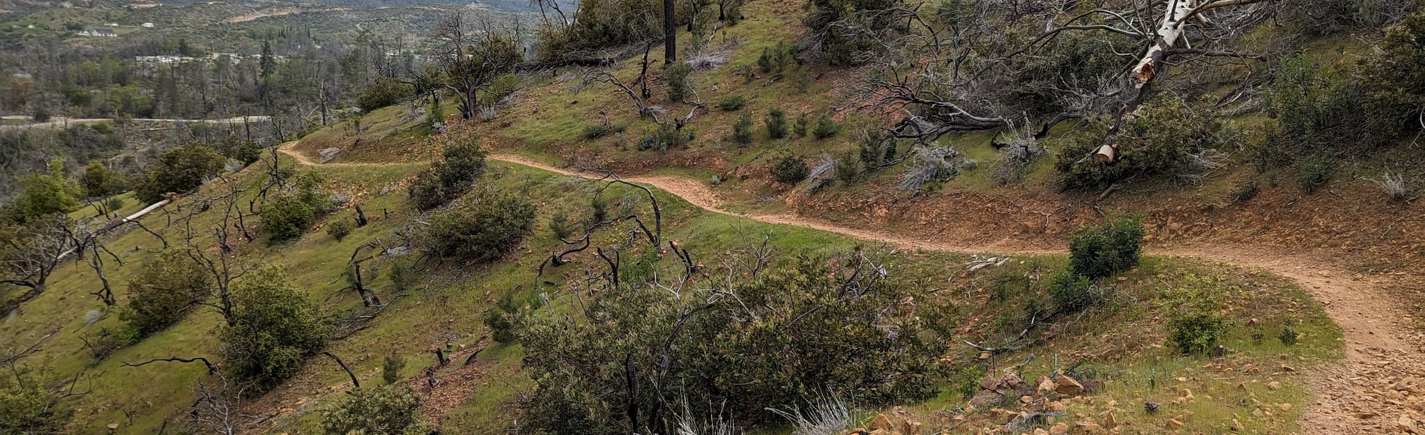 French Fry Trail, California - 36 Reviews, Map | AllTrails