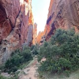 Wolfberg Arch, Western Cape, South Africa - 148 Reviews, Map | AllTrails