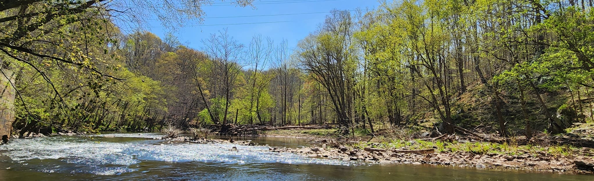 Bull Run Trail: 240 Reviews, Map - Virginia | AllTrails