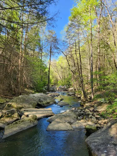 10 Best Waterfall Trails in Signal Mountain | AllTrails