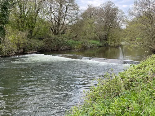 Best Hikes and Trails in Riverside Park | AllTrails