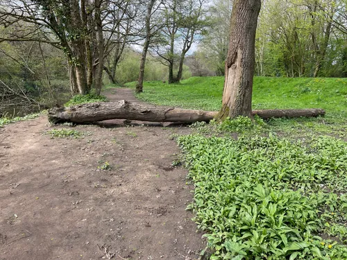 Best Hikes and Trails in Riverside Park | AllTrails