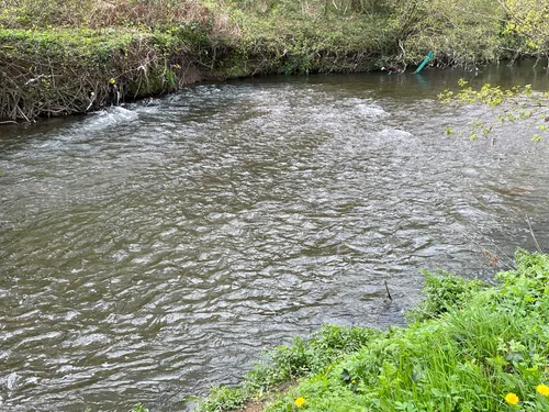 Best Hikes and Trails in Riverside Park | AllTrails