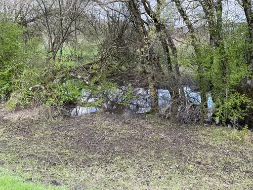 Best Hikes and Trails in Riverside Park | AllTrails