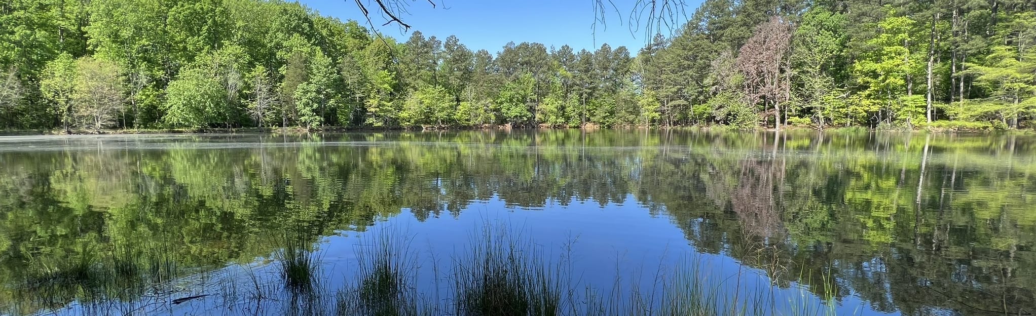 AllTrails | Whitewater Center Lake Loop: 596 Reviews, Map - North Carolina