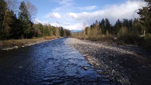 Best Hikes and Trails in Orting | AllTrails