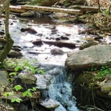 Peter's Creek Heritage Trail, South Carolina - 343 Reviews, Map | AllTrails