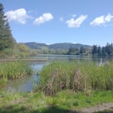 Spring Lake Loop, California - 1,416 Reviews, Map | AllTrails