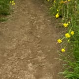 Bane Canyon Short Loop Trail, California - 814 Reviews, Map | AllTrails