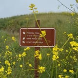 Bane Canyon Short Loop Trail, California - 814 Reviews, Map | AllTrails