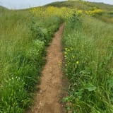 Bane Canyon Short Loop Trail, California - 814 Reviews, Map | AllTrails