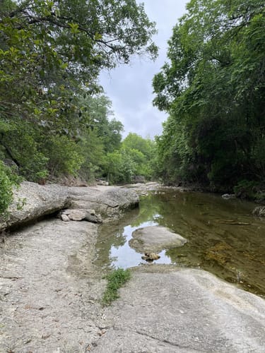 Best Hikes and Trails in Copperfield Park | AllTrails