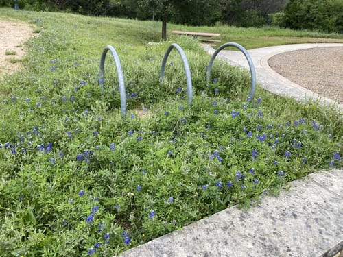 Best Hikes and Trails in Copperfield Park | AllTrails