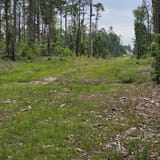 Sam Houston Jones State Park Loop, Louisiana - 51 Reviews, Map | AllTrails