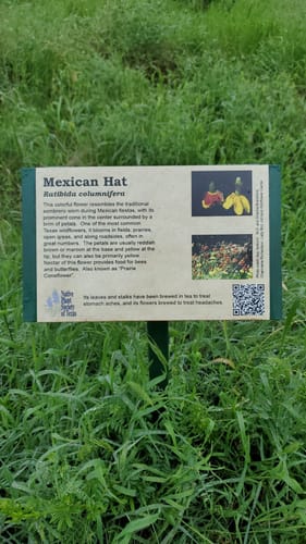 Best Hikes and Trails in Southwest Williamson County Regional Park ...