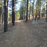 Sinclair Wash Trail, Arizona - 497 Reviews, Map | AllTrails