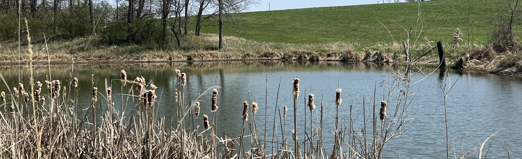 Lake Darling Small Loop, Iowa - 25 Reviews, Map | AllTrails