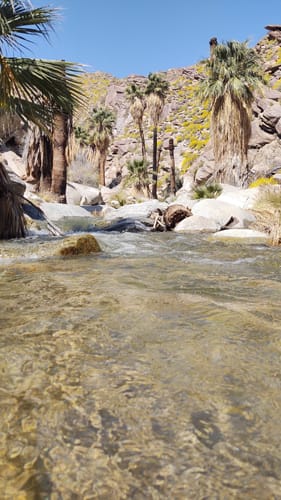 Best Hikes and Trails in Cahuilla Native American Land - Indian Canyons ...