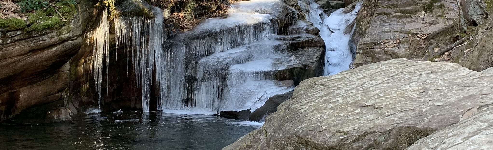 Seven Tubs Loop [CLOSED]: 223 Reviews, Map - Pennsylvania | AllTrails