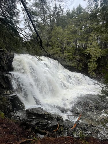 Best Hikes and Trails in Moscow | AllTrails