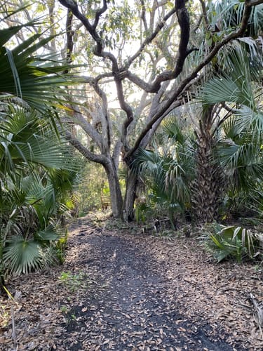 Best Hikes and Trails in North Peninsula State Park | AllTrails