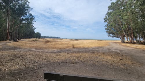 2023 Best Bird Watching Trails in Point Pinole Regional Park | AllTrails