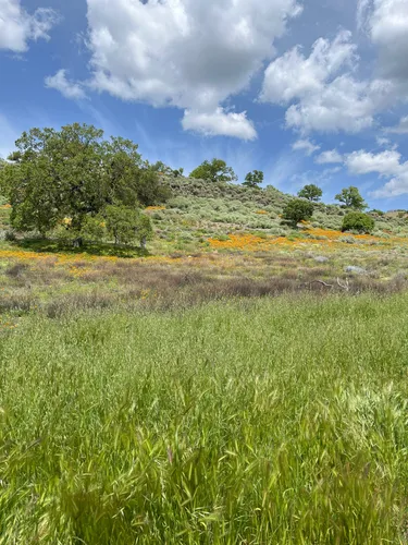 Best 10 Hiking Trails in Shell Ridge Open Space | AllTrails