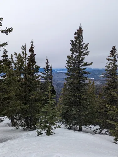 Best Hikes and Trails in Butler Ridge Provincial Park | AllTrails