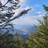 Double Spring Gap Shelter and Kuwohi via Appalachian Trail [CLOSED ...