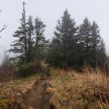 Double Spring Gap Shelter and Kuwohi via Appalachian Trail [CLOSED ...