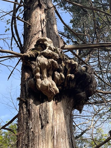 Best Hikes and Trails in Tom Dorman State Nature Reserve | AllTrails