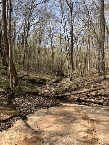 Best Hikes and Trails in Tom Dorman State Nature Reserve | AllTrails