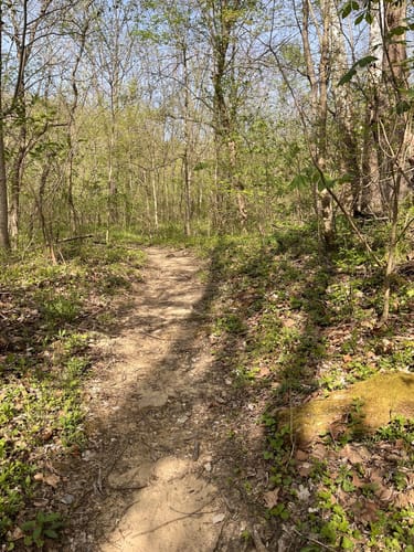 Best Hikes and Trails in Tom Dorman State Nature Reserve | AllTrails