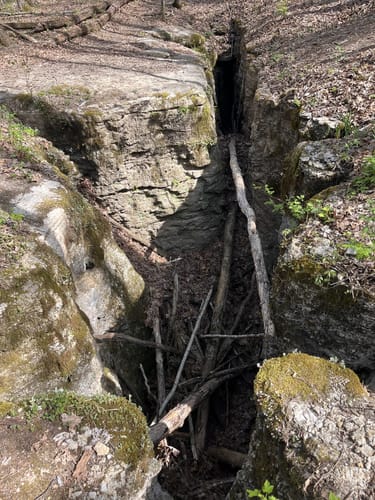 Best Hikes and Trails in Tom Dorman State Nature Reserve | AllTrails