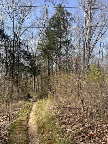 Best Hikes and Trails in Tom Dorman State Nature Reserve | AllTrails