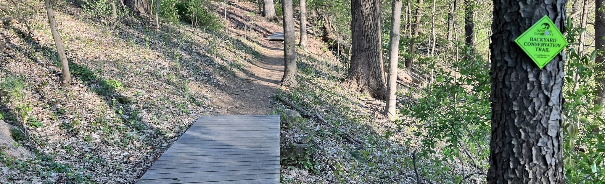 Backyard Conservation Trail, Pennsylvania - 14 Reviews, Map | AllTrails