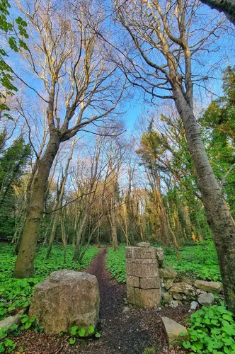 Best Hikes and Trails in Merlin Woods | AllTrails